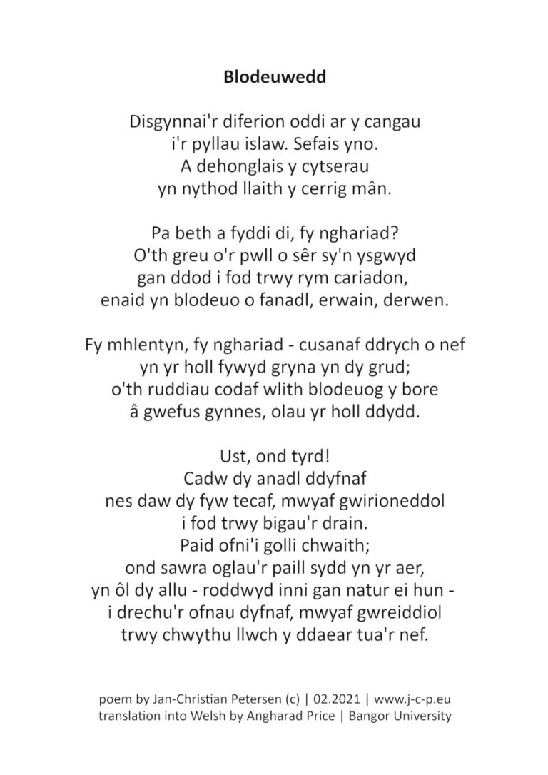 The Woman made of Flowers (Blodeuwedd) – Jan-Christian Petersen